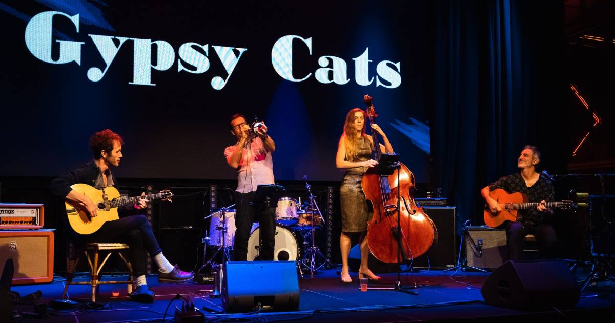 Gypsy Cats | Gig Heaven